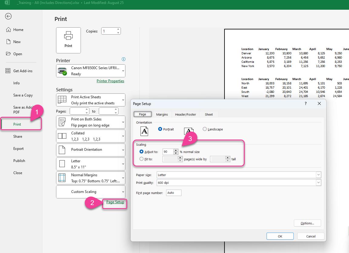 Excel – Printing Large Spreadsheets – Training At Your Finger TIPS